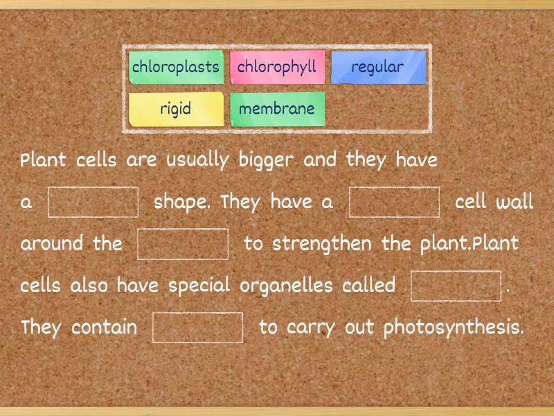 Complete the text about cells - Complete the sentence