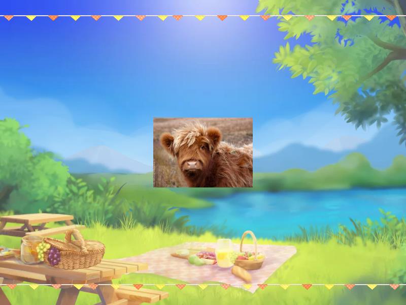Animal Memory Game - Watch and memorize