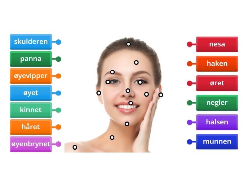 Ansiktet - Labelled diagram