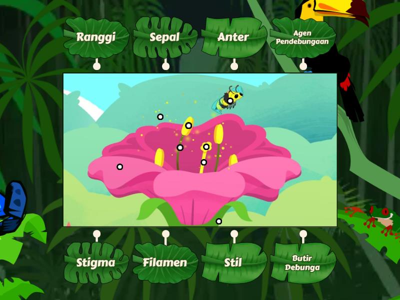 T1 SAINS: BAHAGIAN SISTEM PEMBIAKAN TUMBUHAN - Diagrama con etiquetas