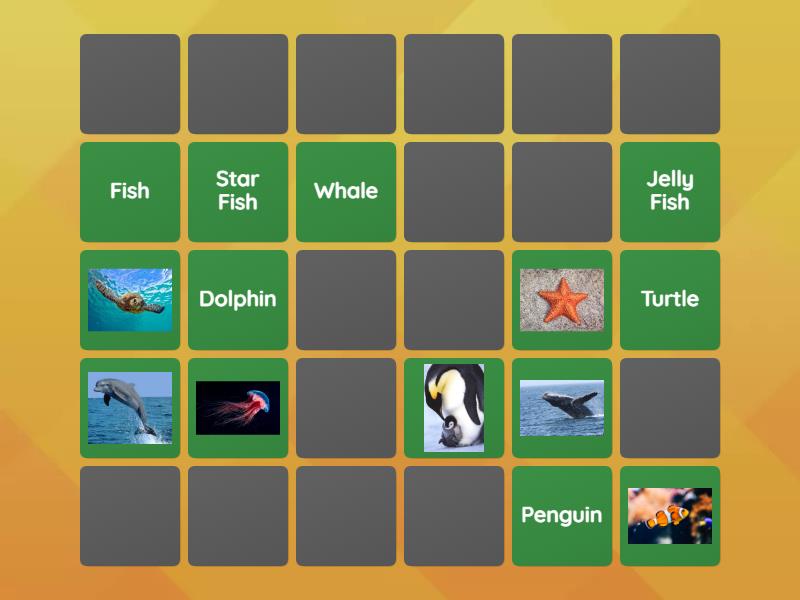 Life Below Water - Matching pairs