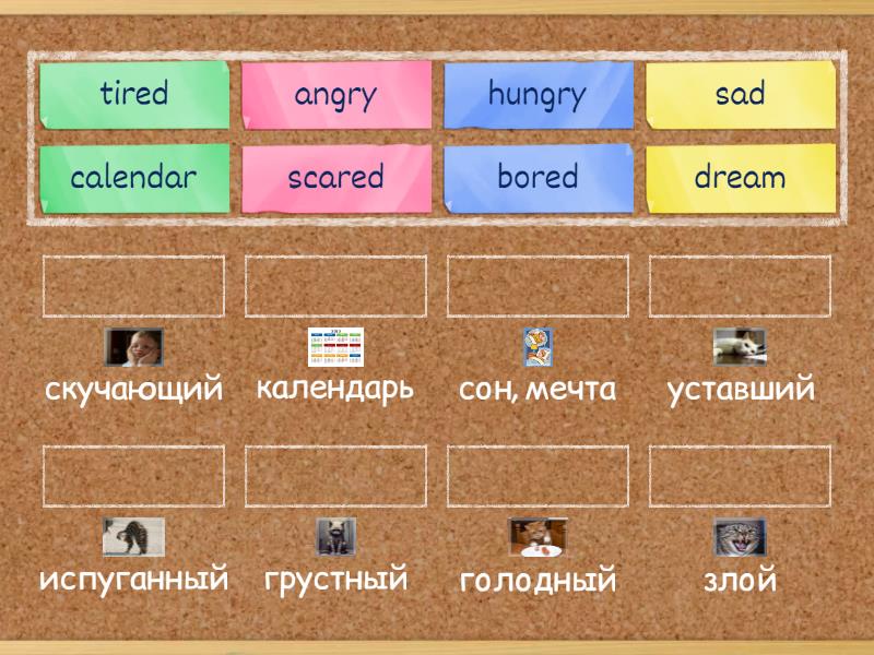 Spotlight (4) Module 5 - Match up