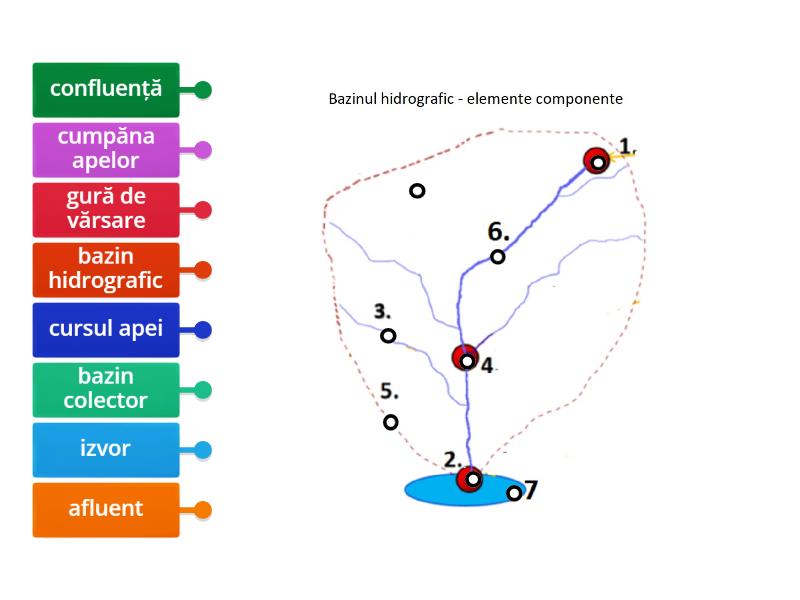Bazinul hidrografic - elemente componente - Diagrama con etiquetas