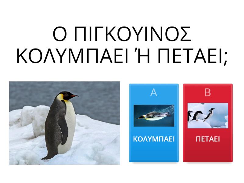 ΠΙΓΚΟΥΙΝΟΣ - Quiz