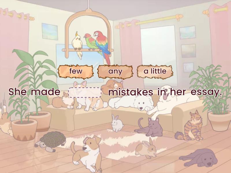 Fill in the blanks with the appropriate quantifiers - Complete the sentence