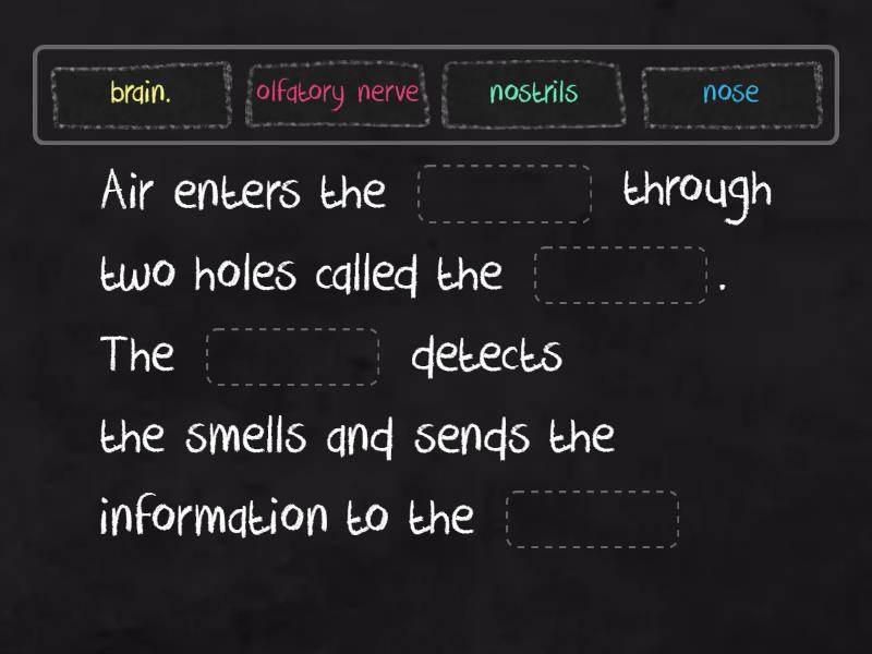 Senses of smell and taste - Complete the sentence