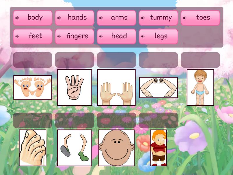 NEA 1 Unit 5 - My body - Match up