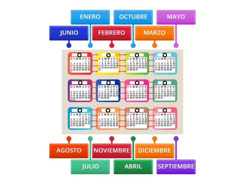 LOS MESES Y EL CALENDARIO - Labelled diagram