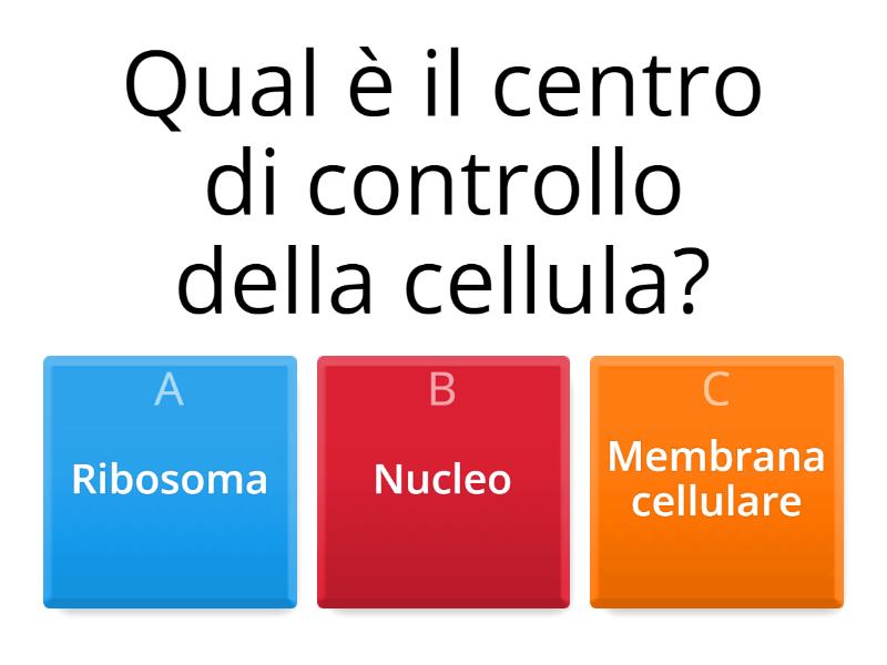 LA CELLULA E I SUOI ORGANULI - Quiz
