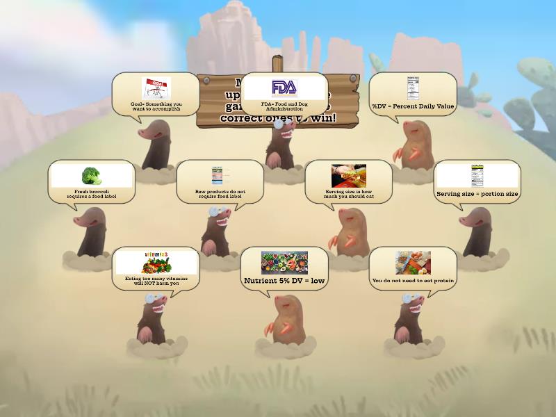 Unit 2 Vocab Review - Whack-a-mole