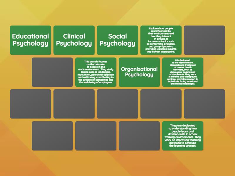 Main Branches of Psychology - Matching pairs