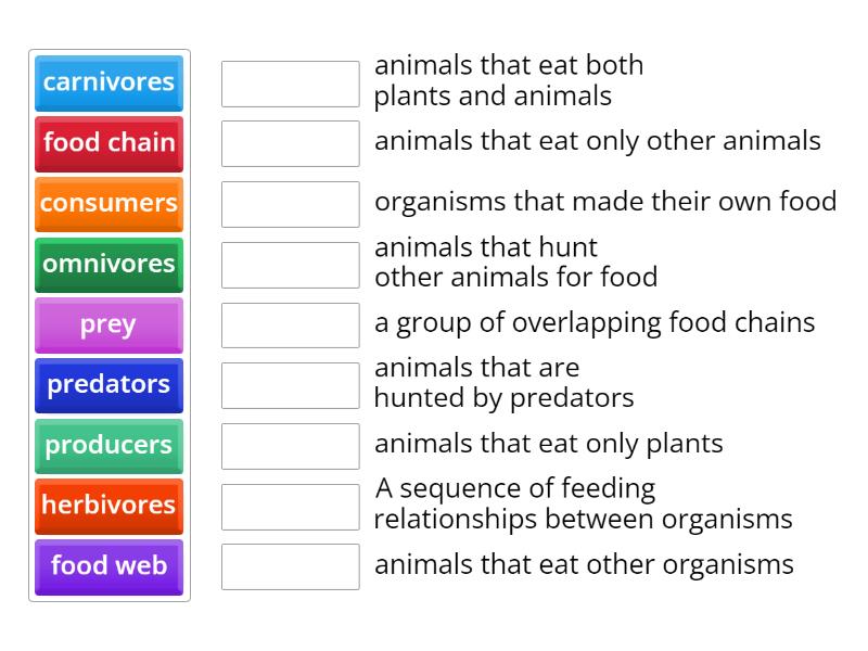 Food Chains & Food Webs Vocabulary - المطابقة