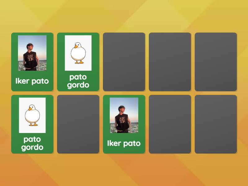 Pato - Matching pairs