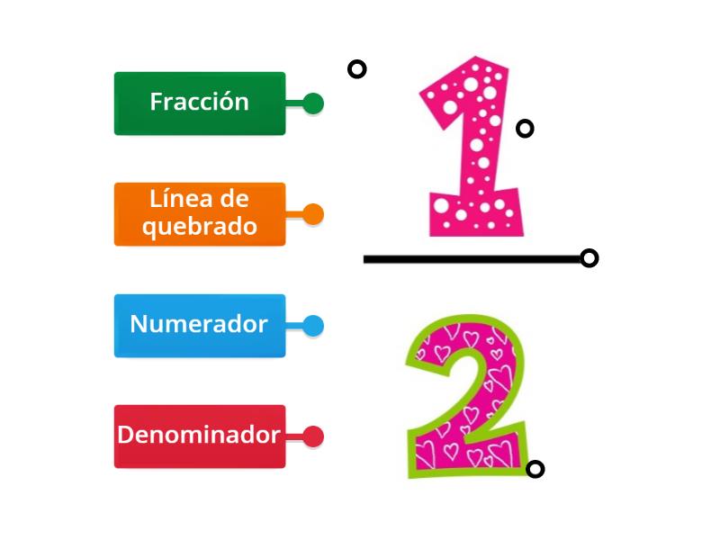 Partes de una fraccion - Labelled diagram