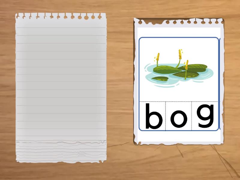 Story 13 Hog and the dog / Let's read the stories/The words from the ...