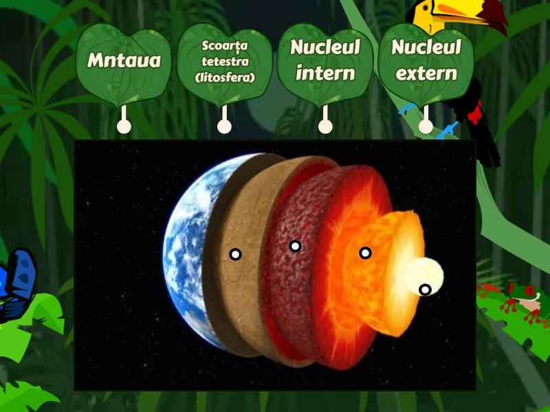 Structura terestra a terrei - Labelled diagram