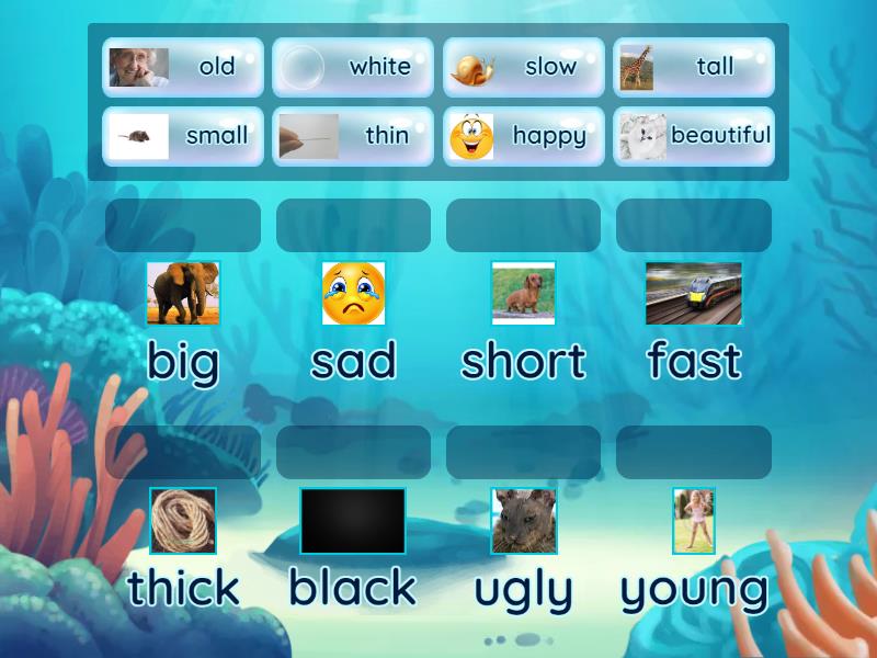 Kid's Box 1 - Opposites - Match up