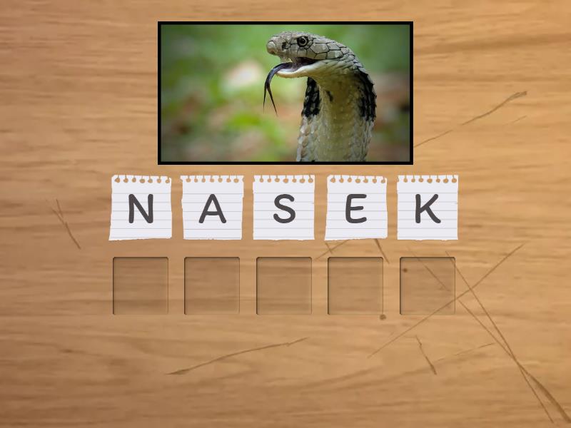 TEST - STARTER - Anagram