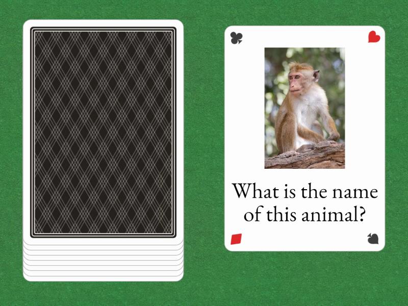 Animals - Speaking cards
