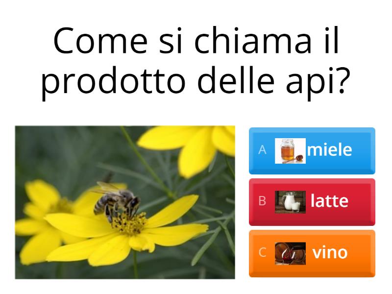 Gioco sulle api - Quiz