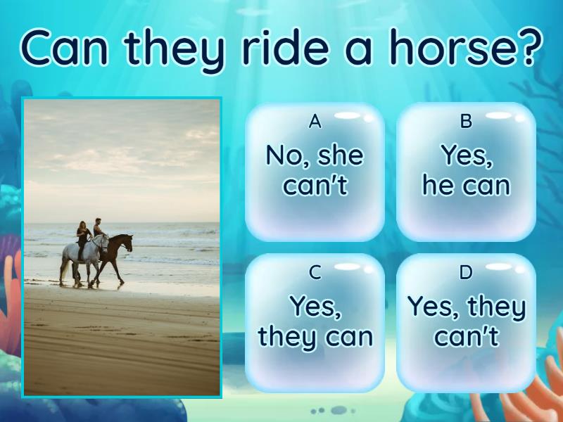 Yes, he can/No, he can't - Quiz