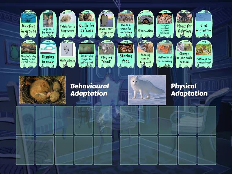 Adaptations - Behavioural or Physical - Group sort
