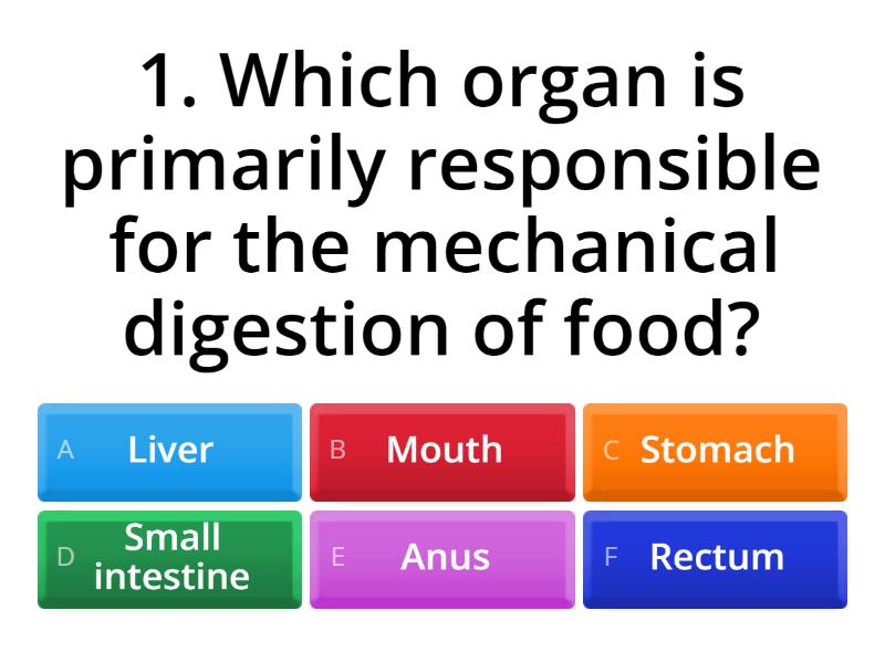 "The Digestive System " - Quiz