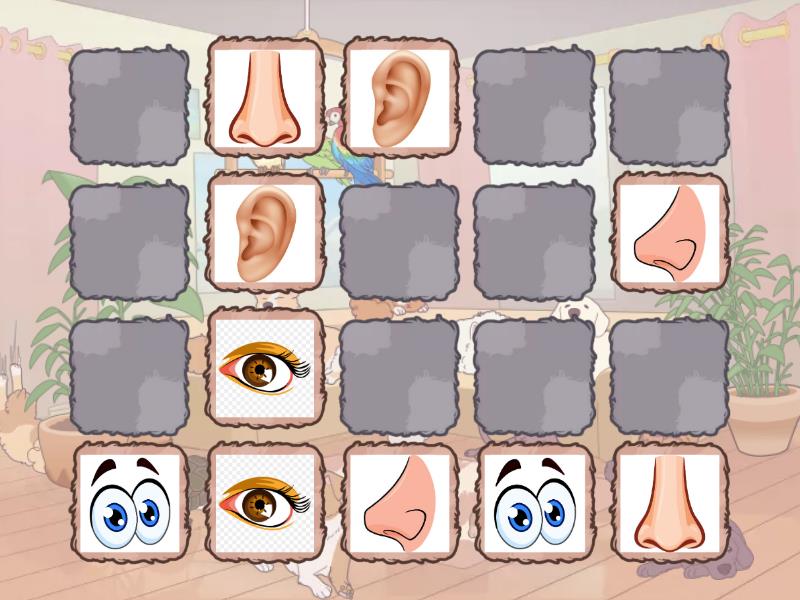 parts of the face - Matching pairs