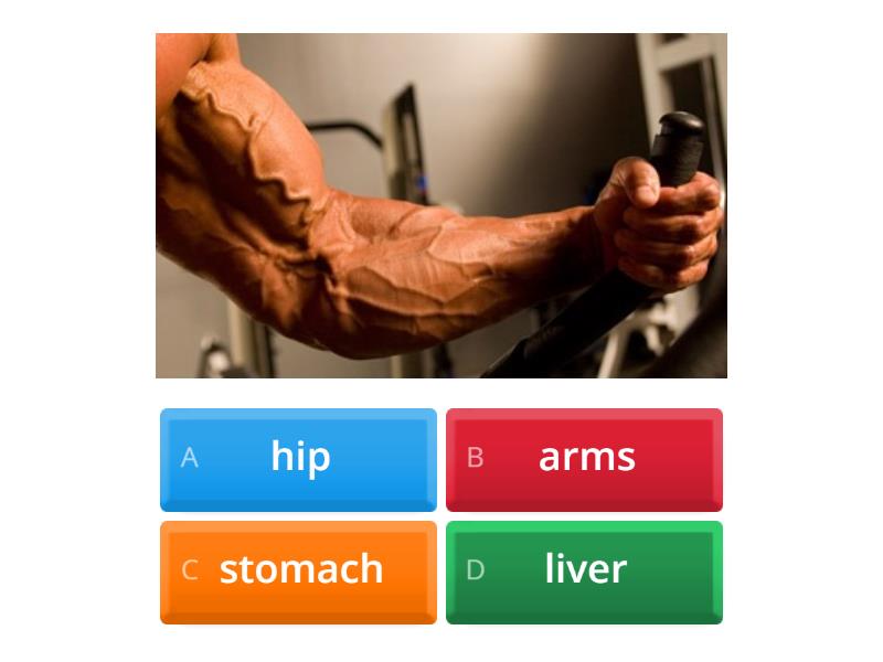 Intermediate. Body - Quiz