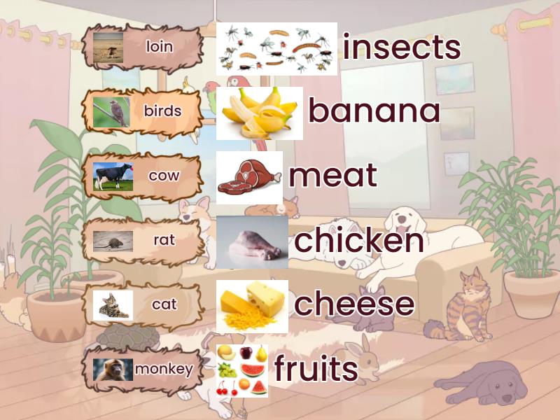 Animals and their Foods - Match up