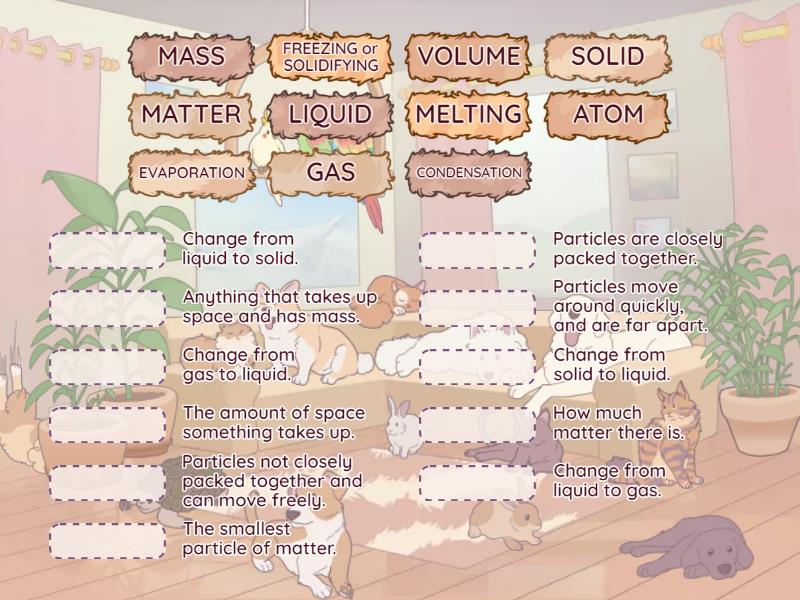 States of matter vocab. - Match up