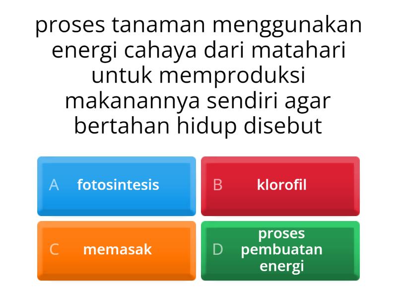 proses fotosintesis pada tumbuhan - Quiz