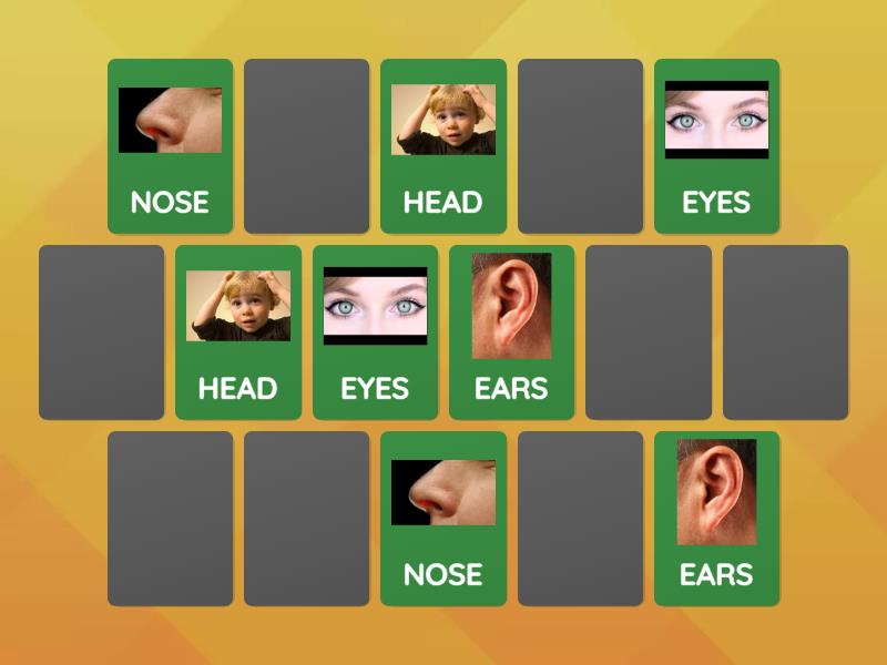 HEAD, SHOULDERS, KNEES, TOES MEMORY - Matching pairs