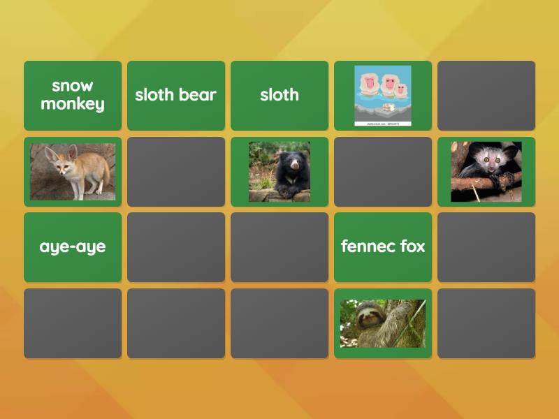 animal- pair - Matching pairs