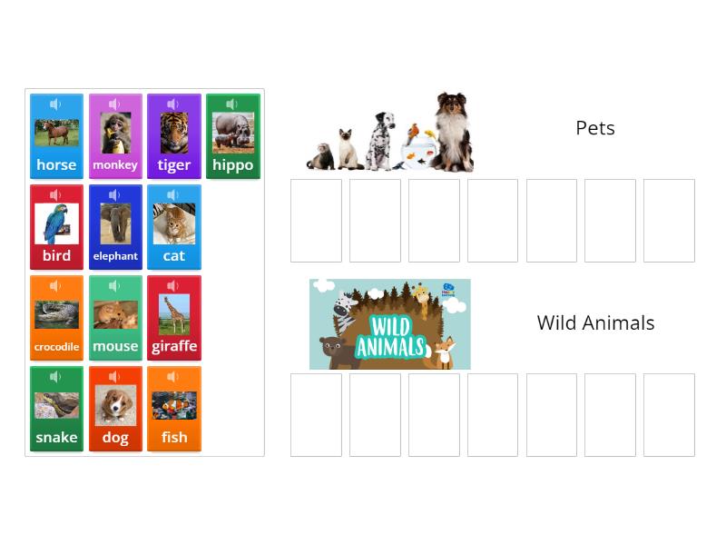 Wild animals/Pets sorting - Group sort