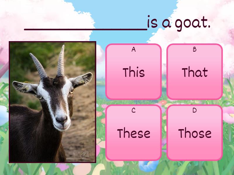 This That These Those (animals) - Quiz