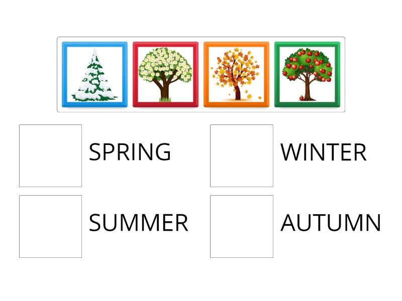 SEASON TREE - Match up