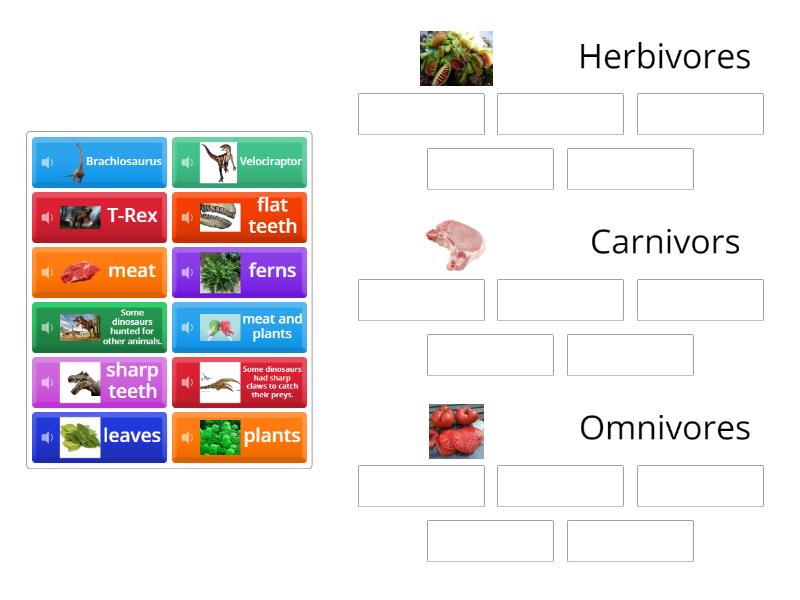 Primary 3_What did dinosaurs eat? - Group sort