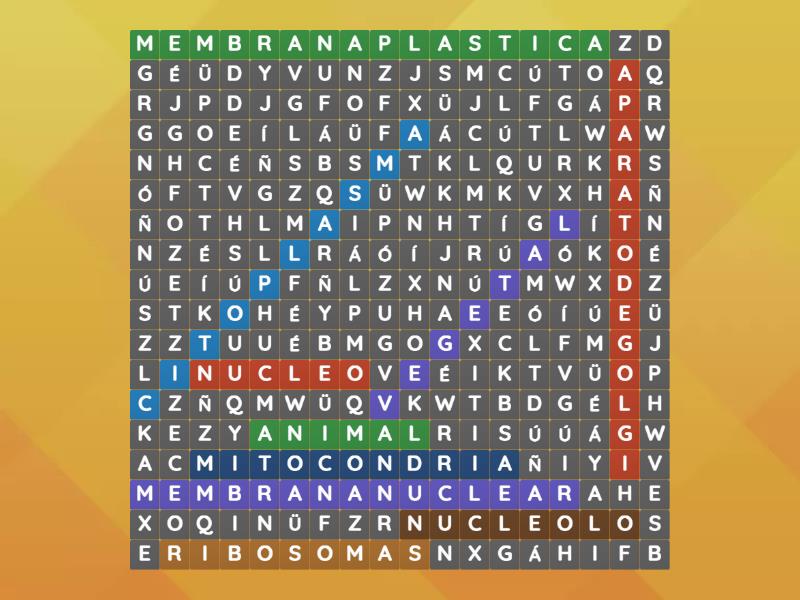 Sopa de letras - Wordsearch