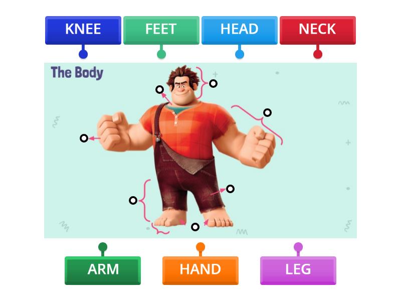 THE BODY - RALPH - Labelled diagram