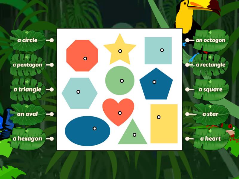 Shapes - Labelled diagram