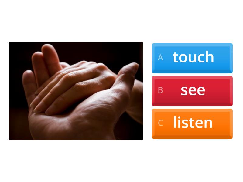 The five senses - Quiz