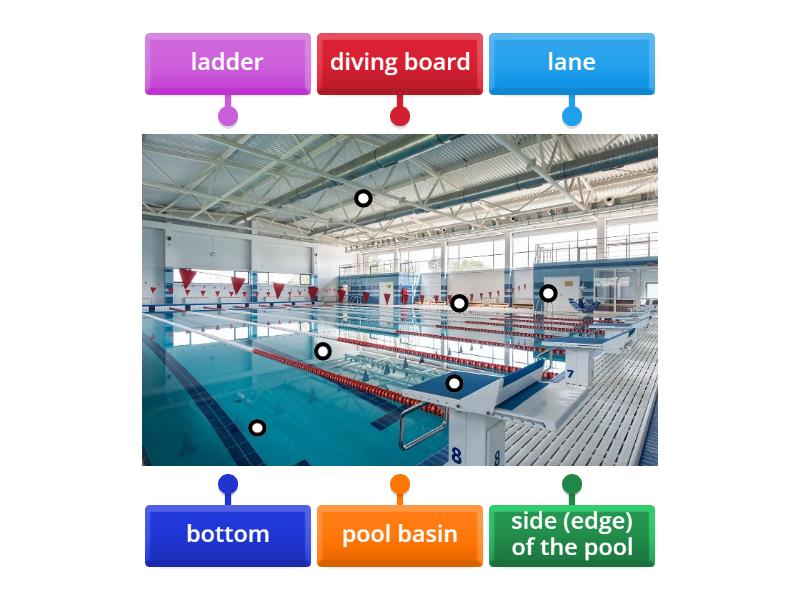 In the swimming pool - Labelled diagram
