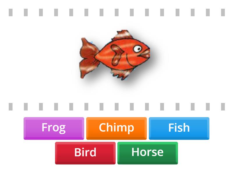 Module 3 - Animals - Vocabulary - Find the match