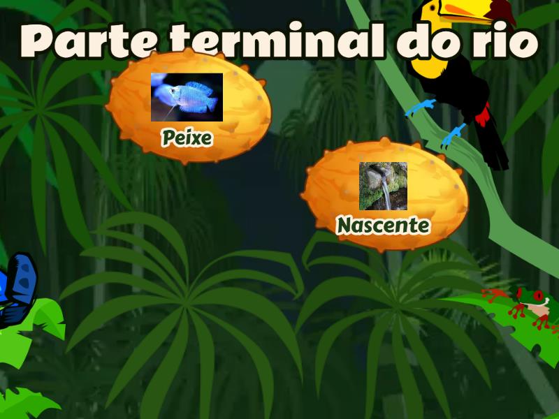 Partes do Rio - Flying fruit