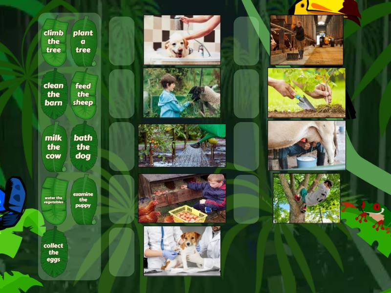 animal shelter - Match up