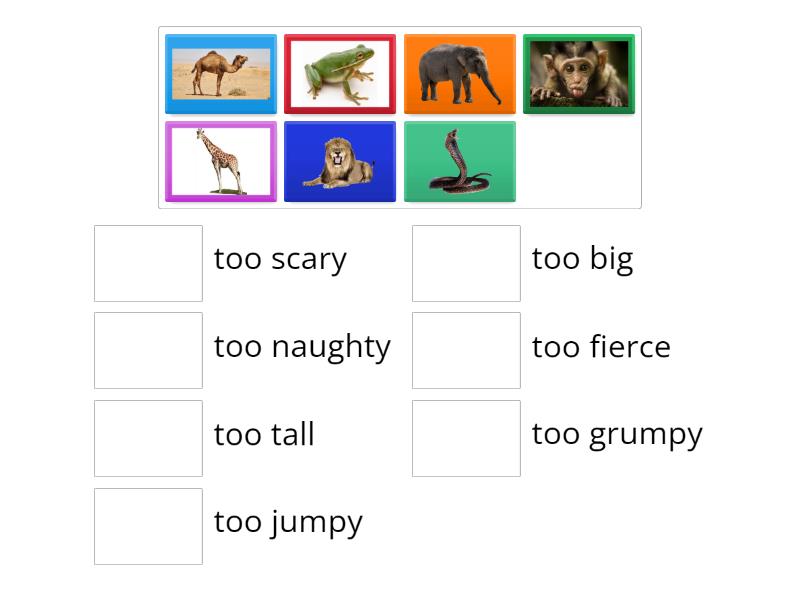 Dear Zoo animals + adjectives - Match up