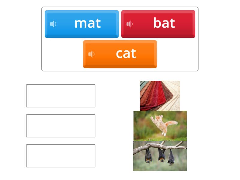 Cat, mat, bat - Match up