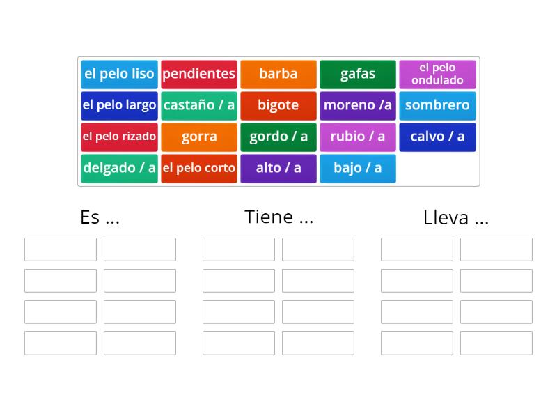Ser / Tener / Llevar uses with physical descriptions - Ordenar por grupo