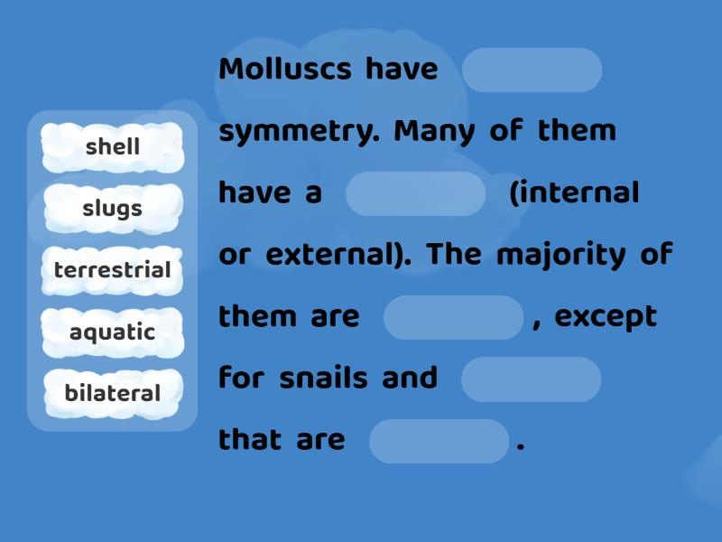 Molluscs - Palabra perdida
